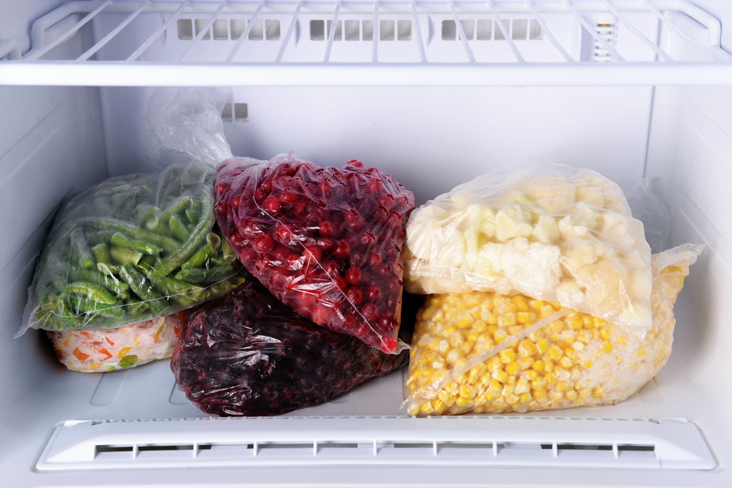 5 Cara Perawatan Freezer Kulkas di Rumah, Wajib Tahu! - Vista Land Group